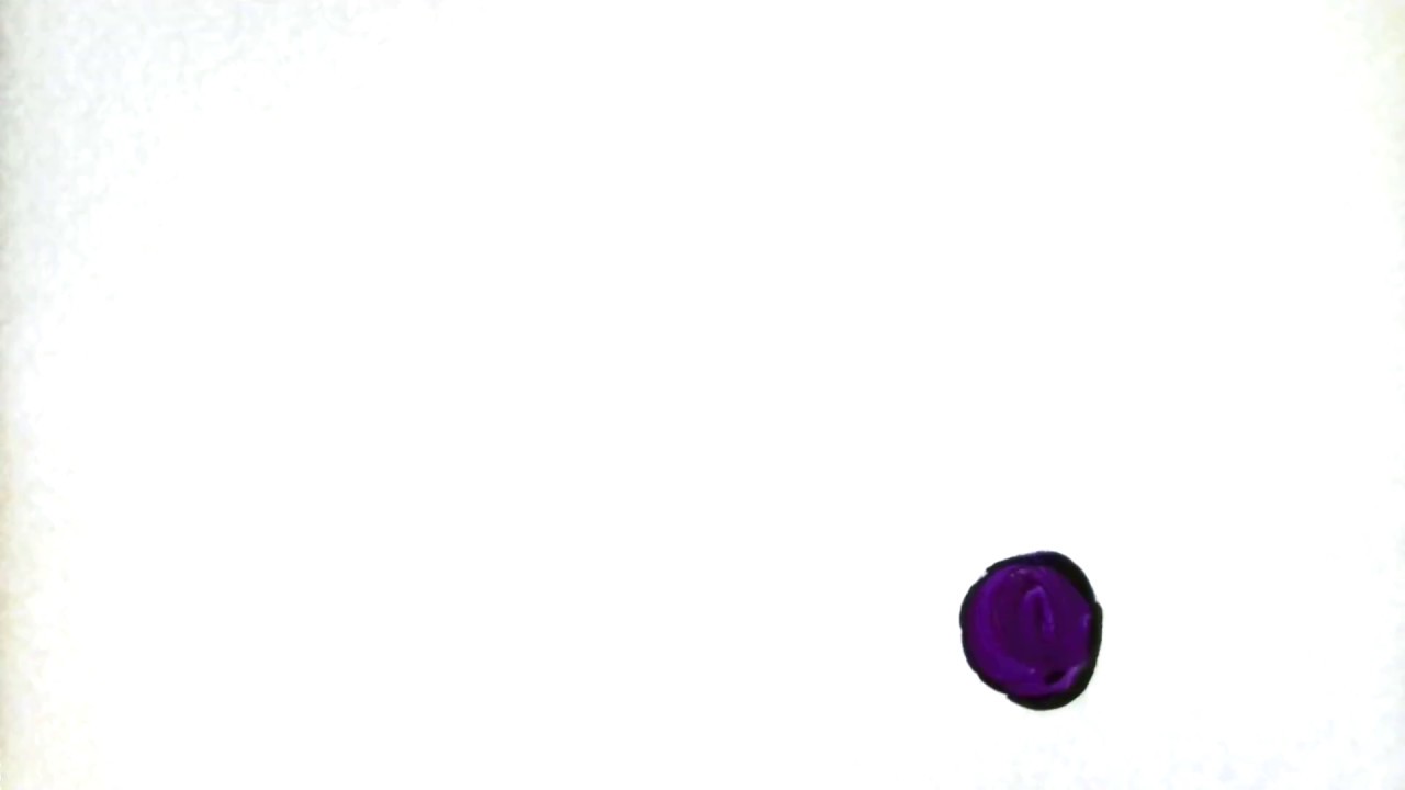 Bouncing Ball Traditional Animation - YouTube