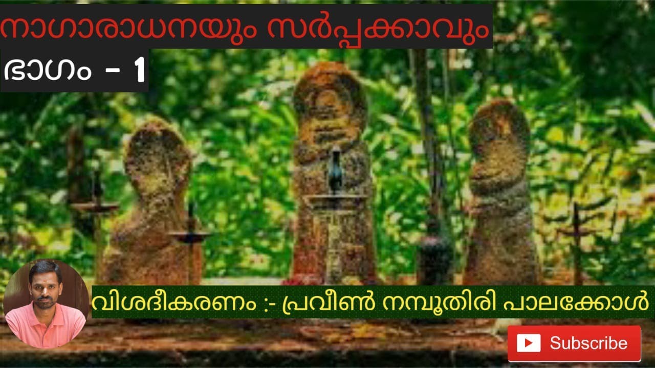 Nagaradhana, Sarppakkavu (നാഗാരാധനയും സർപ്പക്കാവും ) ph 09526040391 ...