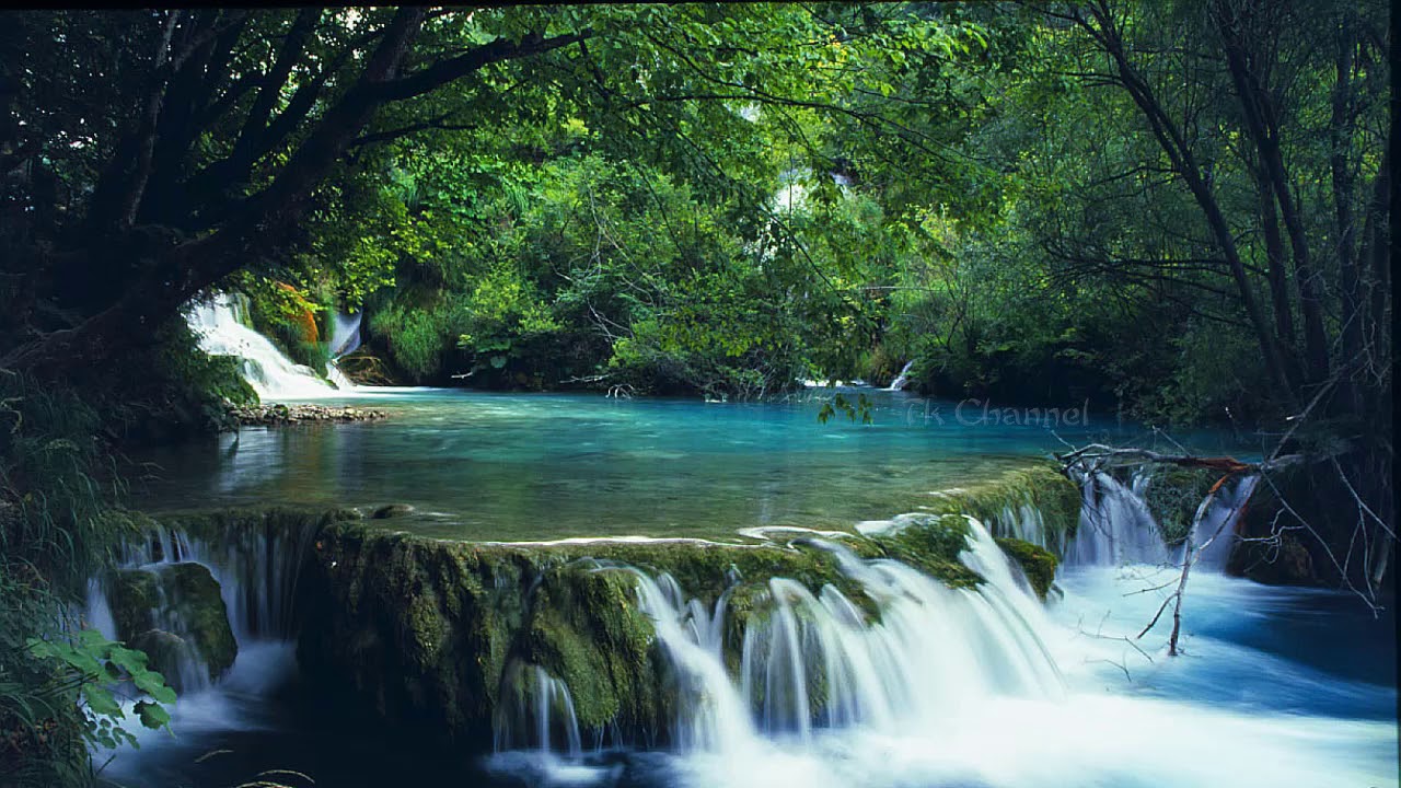 Waterfall & Jungle Sounds Relaxing Tropical Rainforest Nature Sound ...