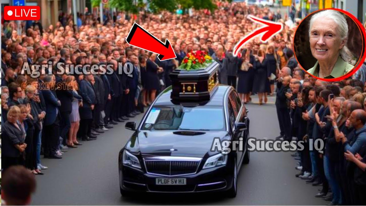 Jane Goodall Last Funeral 💔 - YouTube