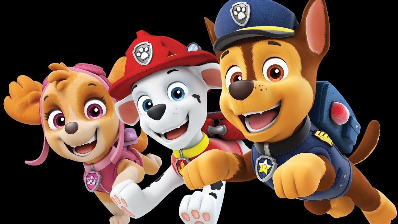 PAW patrol | PAW patrol cartoon video | PAW patrol Full episode today ...