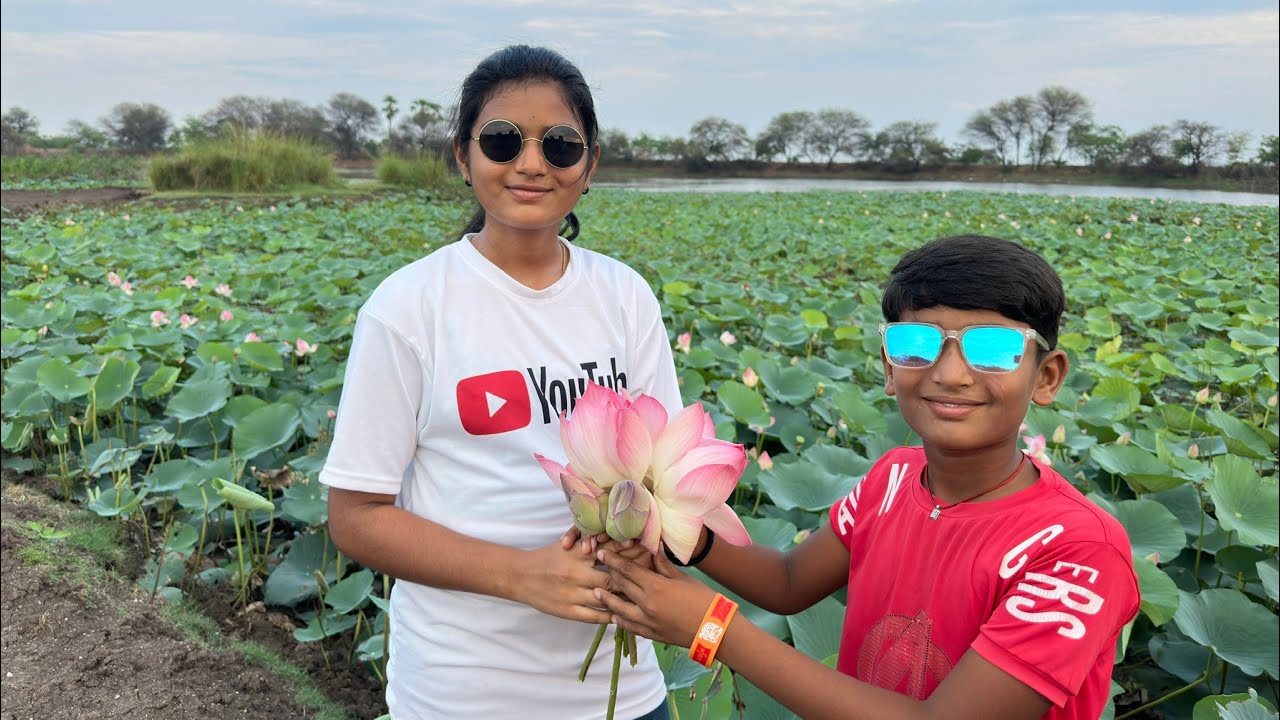 మా చెరువులో పువ్వులు మస్తు వున్నాయి | thamara puvvulu lotus | manu ...