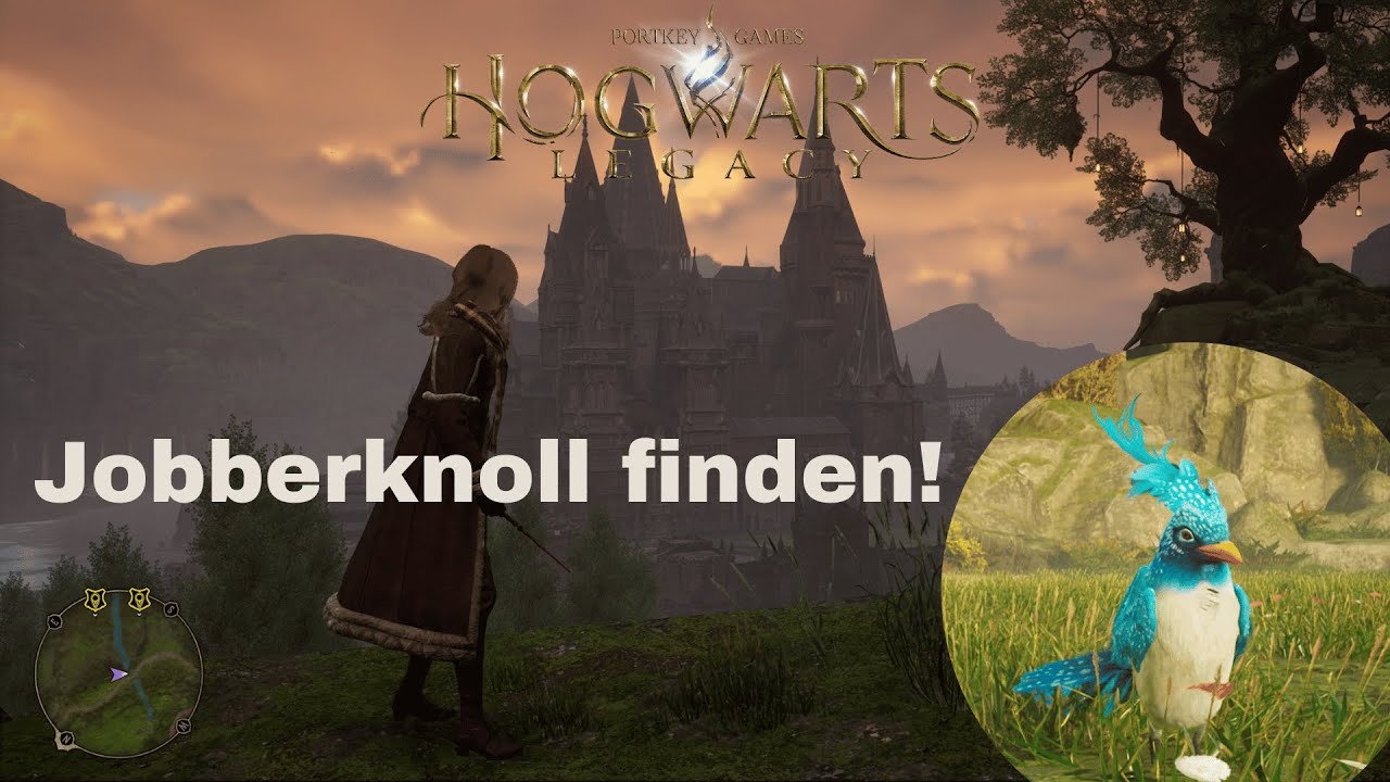 Jobberknoll gesichtet! 🦜| Hogwarts Legacy | Deutsch Lets Play #10 - YouTube