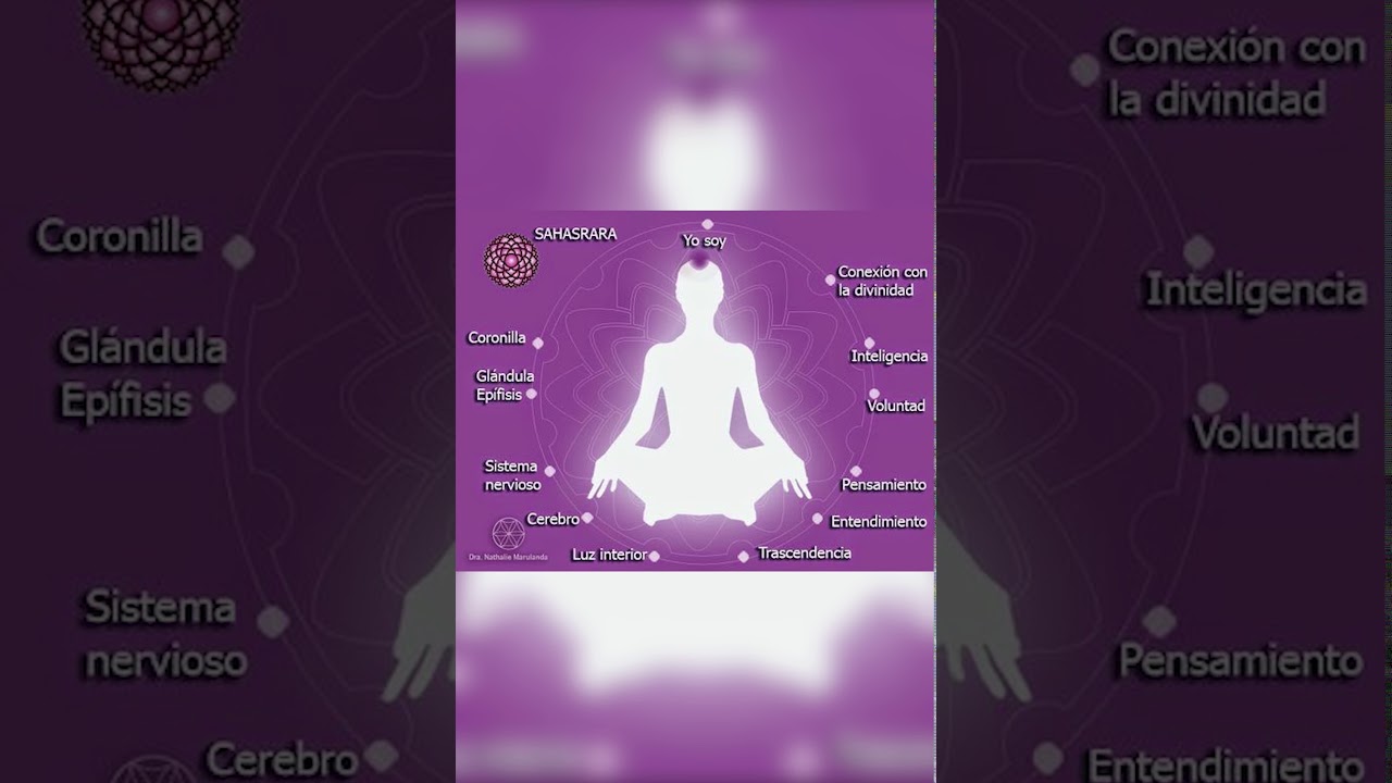 Chakra Corona/Coronilla 🧘🏿‍♂️ - YouTube