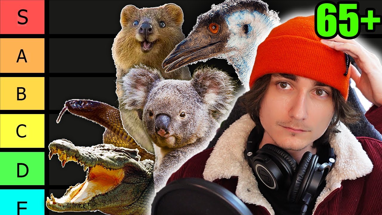 Australian Animal Tier List (65+ Species) - YouTube
