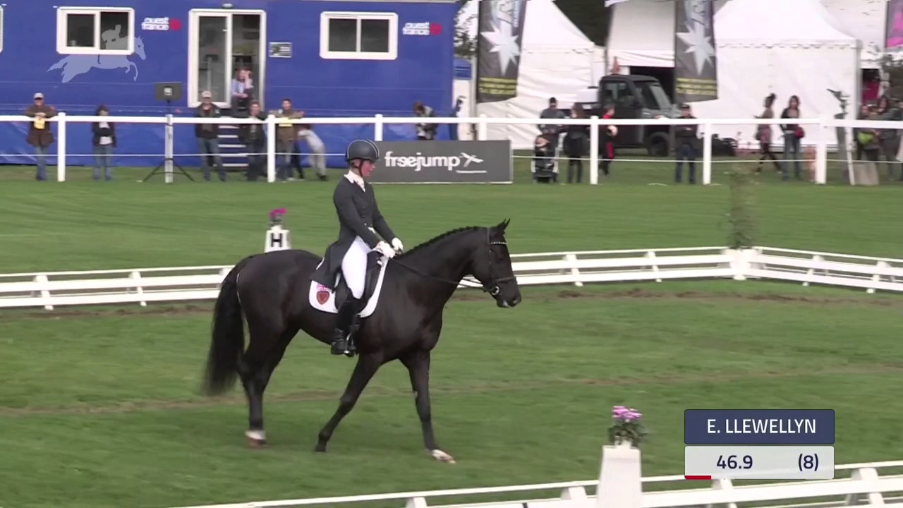 Exclusive - Eventing Stallion at Stud www.pwstallions.co.uk - YouTube