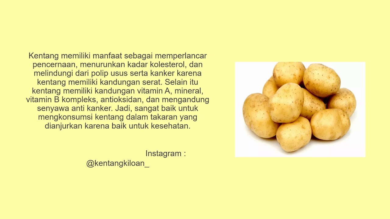 [PROMO] +62 815-4809-4791, Produsen Kentang Kiloan Di Banjarnegara ...