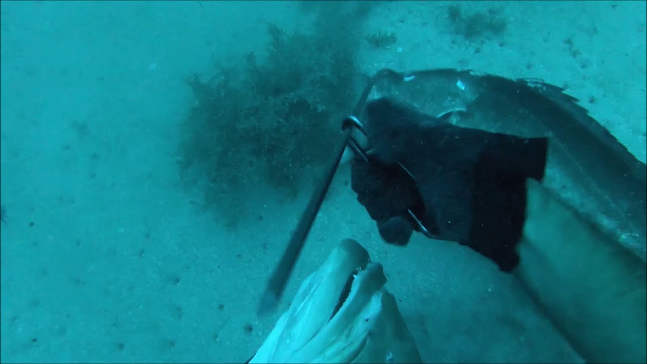 West Pulley Ridge - YouTube