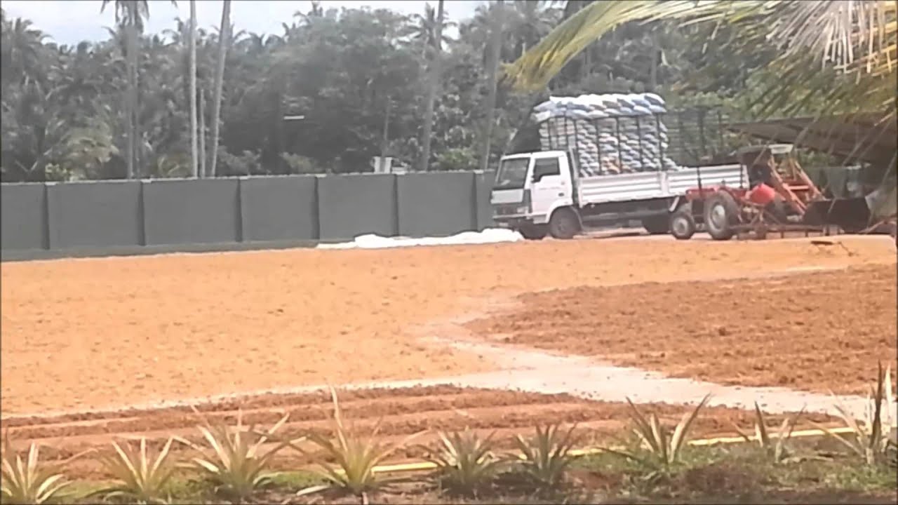 Hydroponics - Secado de la fibra de coco Drying of coconut fiber - YouTube