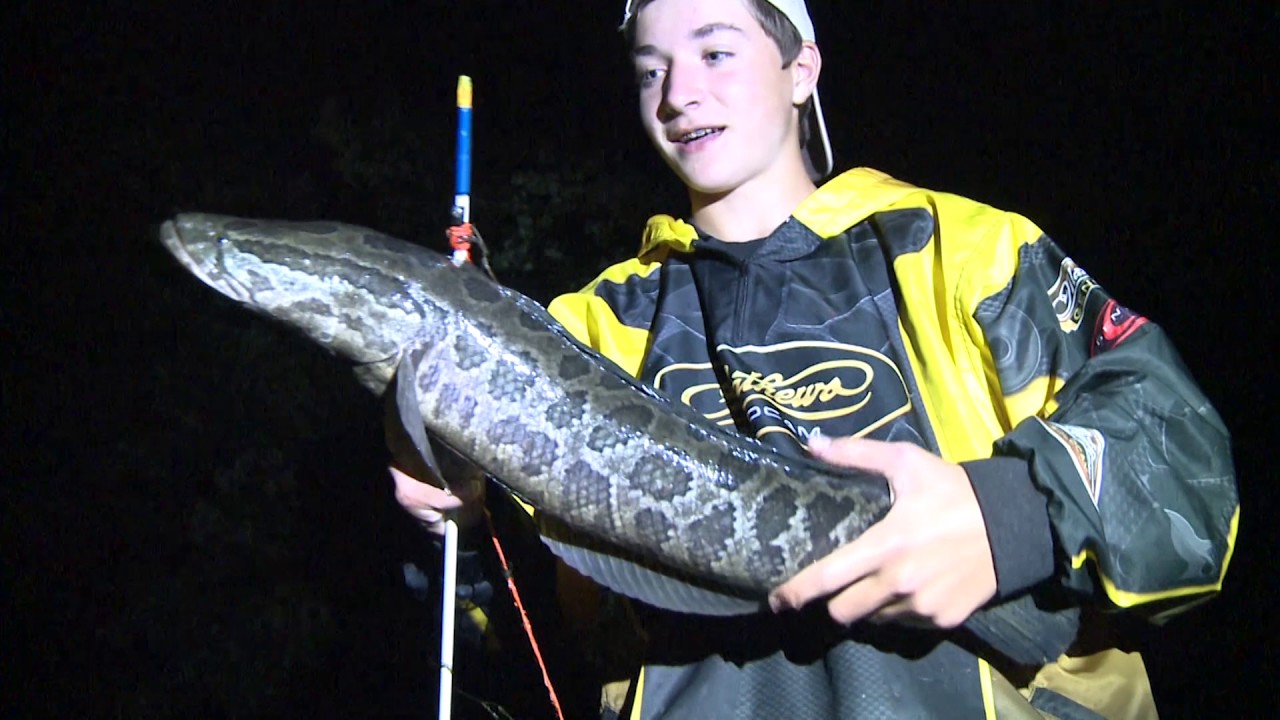 SNAKE or FISH?? Lets kill it!! - YouTube