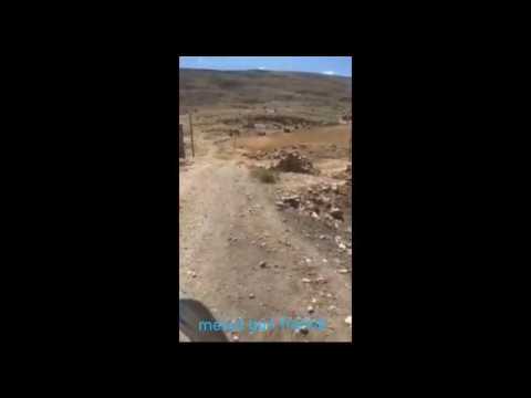17 mai 2020 (Hasretim Vuruldu)