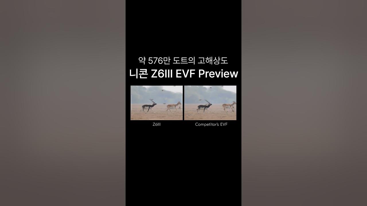 [니콘 미러리스 Z6III] EVF Preview - YouTube