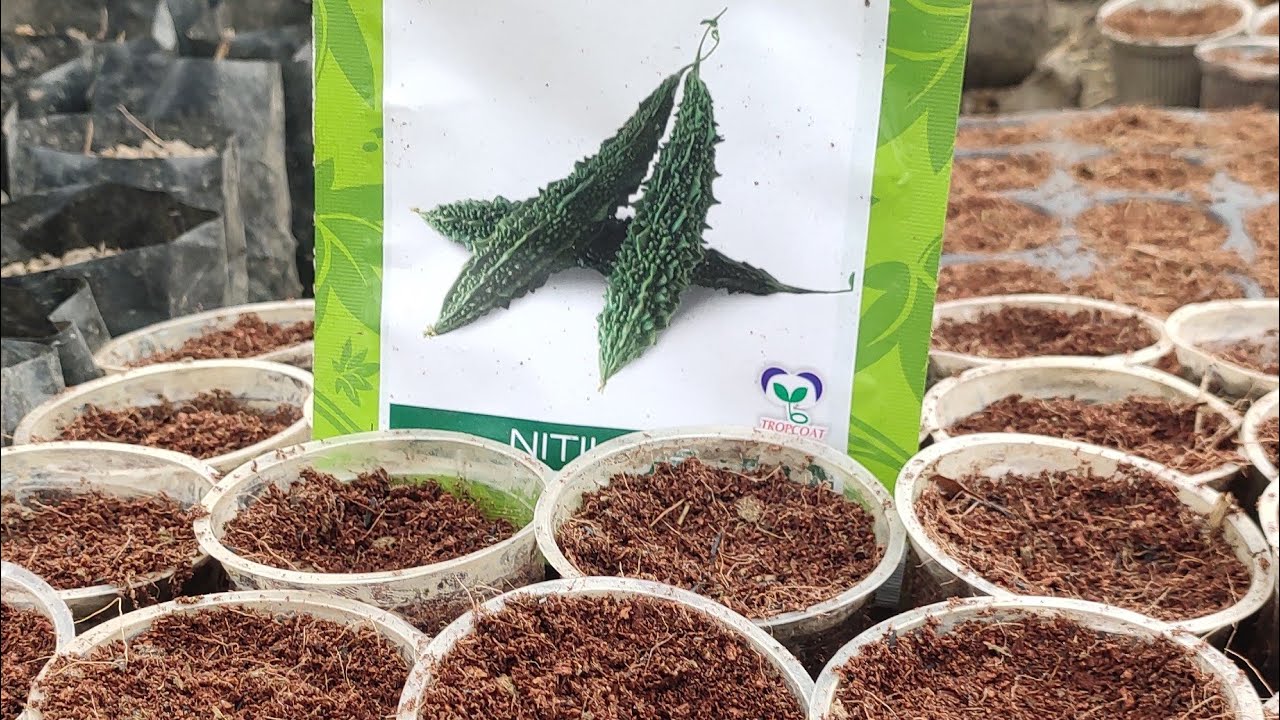 Karot akhabi char laina semba ||Manipur - YouTube