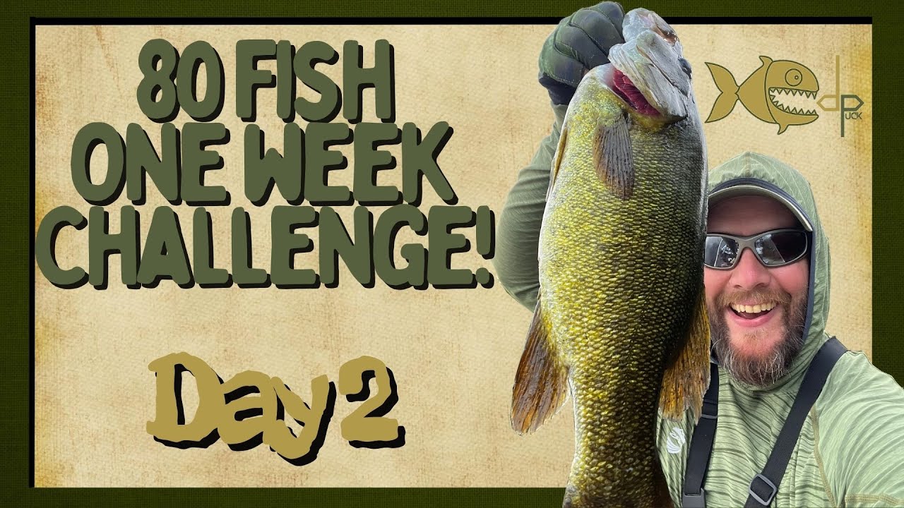 80 Fish in 1 week Challenge: Day 2 - YouTube