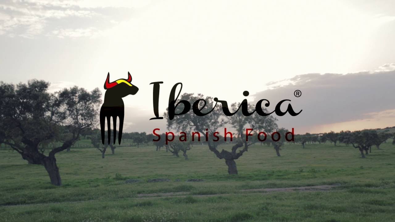 Iberica Spanish Food - Free-Range Fully Acorn-Fed Black Iberian Ham ...