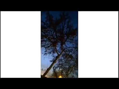 Tuğçe Kandemir - Bin Pişman