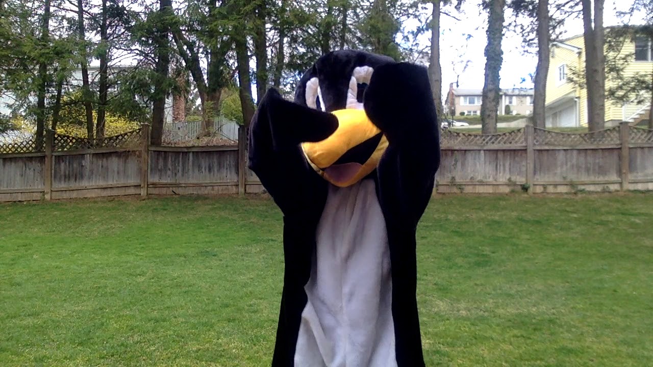 Meadow Brook School JiJi Dance - YouTube