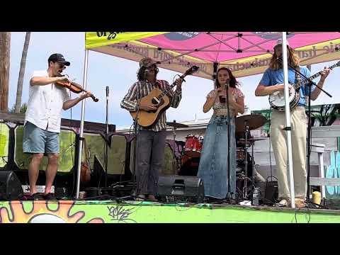6 The Low Down String Band at Seedless Ocean Beach 9/2/23 - YouTube
