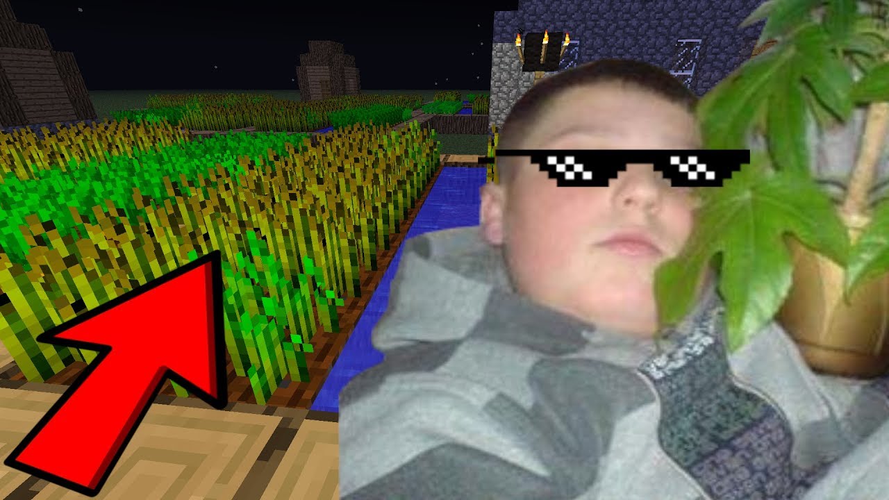 Growing Weed In Minecraft Youtube