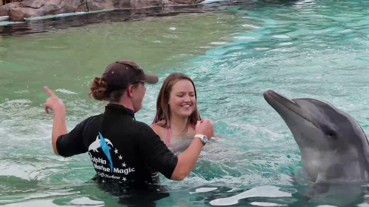 Dolphin Marine Magic Coffs Harbour - Swim with the dolphins - YouTube