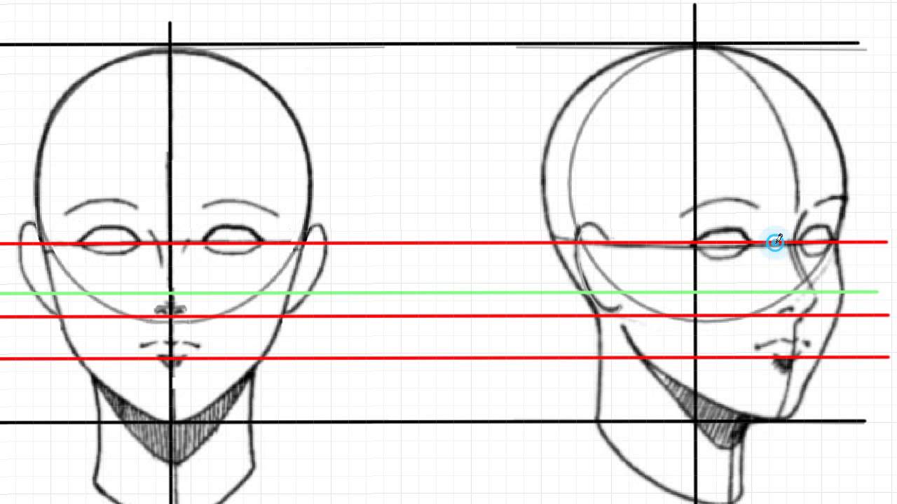 Head Proportions when designing characters for animation - YouTube