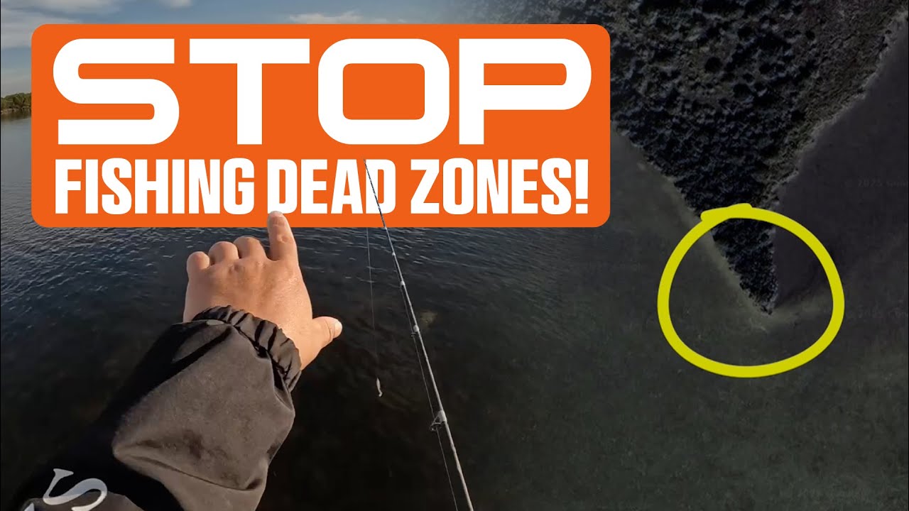 Shoreline Fishing EXPOSED: How to Find the Best Spots! - YouTube