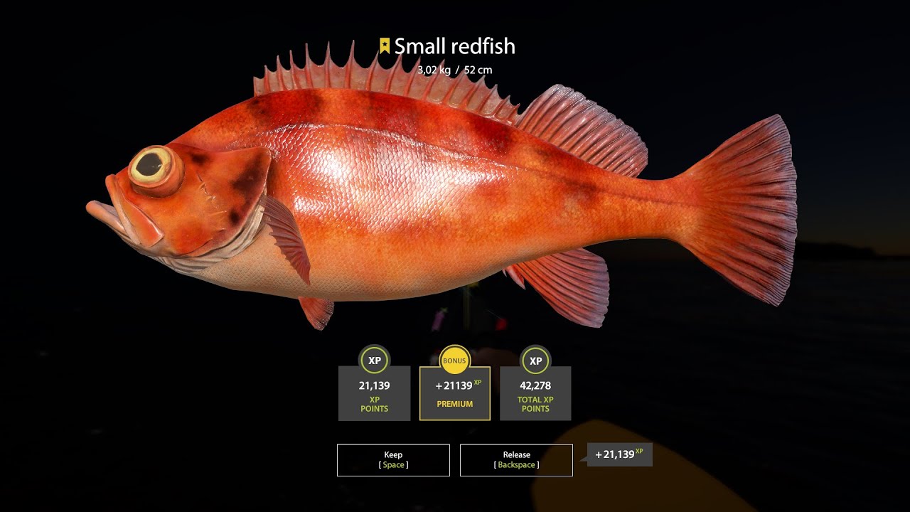Trophy Small redfish 3,02kg | Norwegian Sea - YouTube