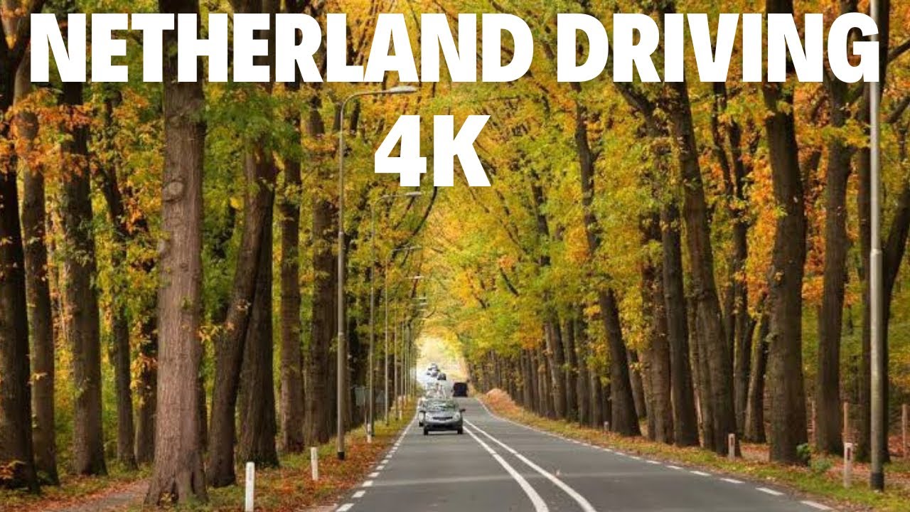 Netherland driving 4K | Driving Downtown | #netherlands #4k #roadtrip ...
