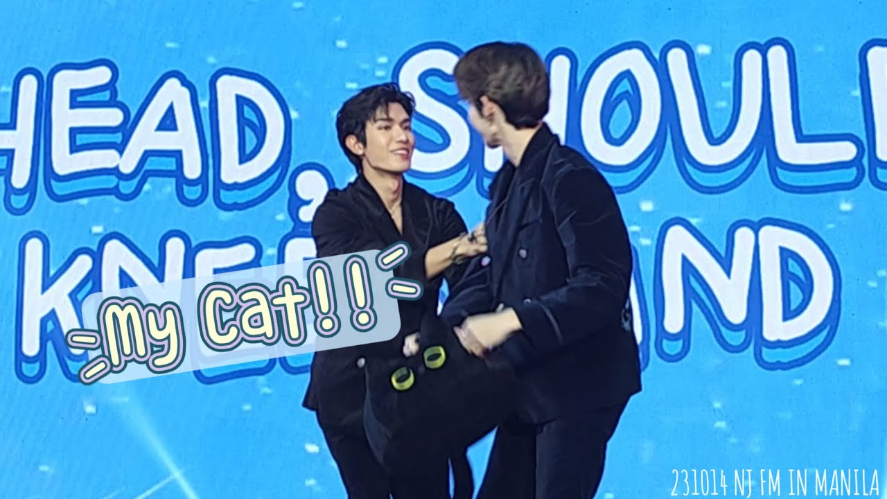 [ NetJames ] Head, Shoulders, Knees And Cat ( GAME ) - YouTube