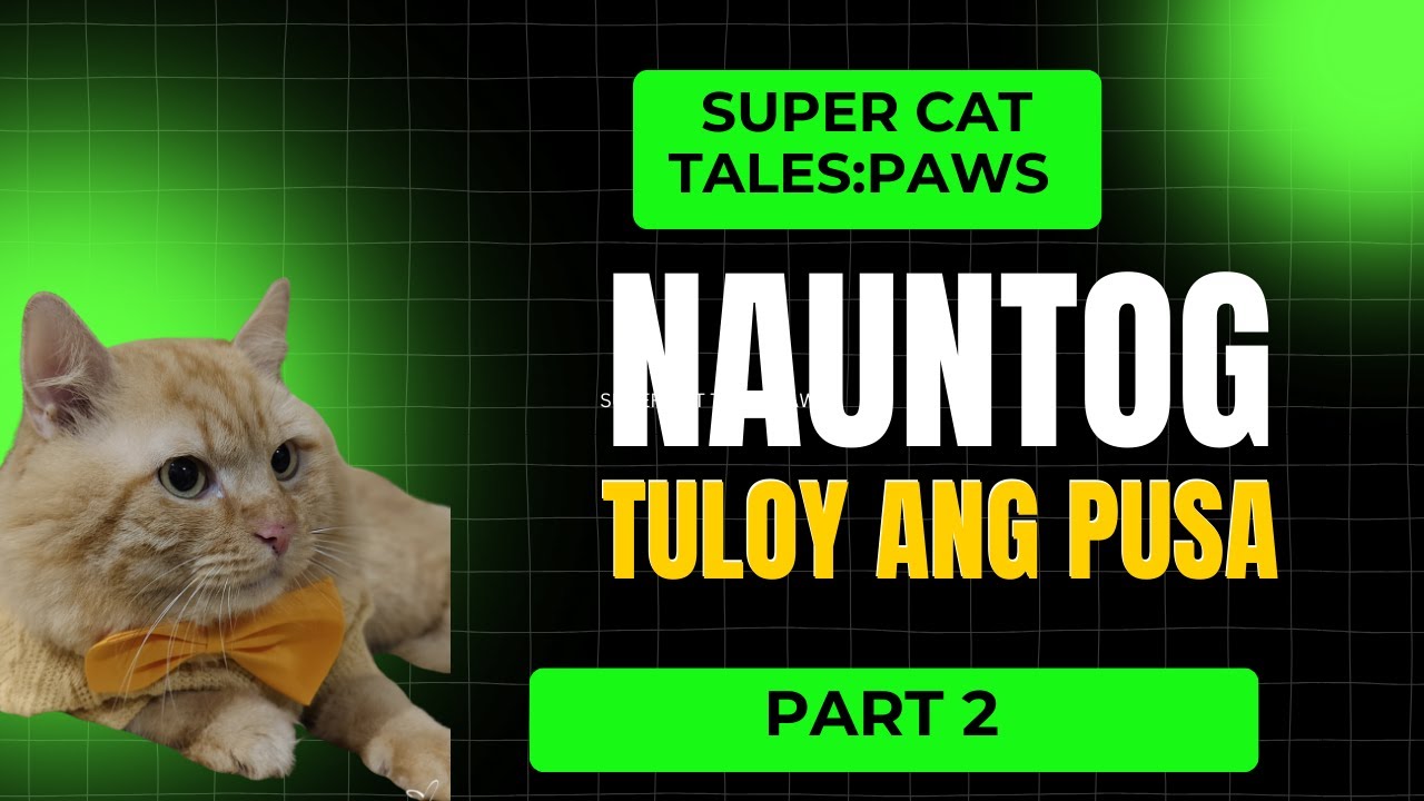 NAUNTOG TULOY ANG PUSA: SUPER CAT TALES:PAWS - YouTube