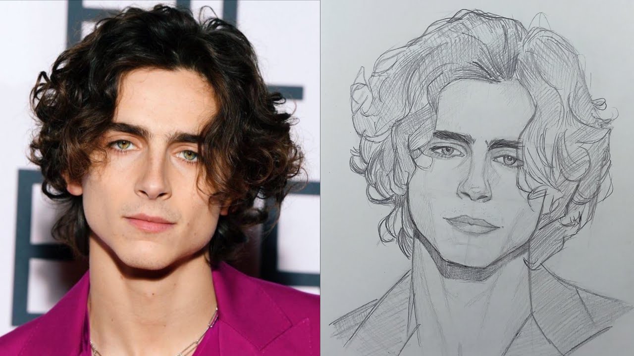 How to draw timothee chalamet step by step - Loomis method drawing ...