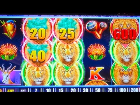 Must Hit Slot Machines Lion Eyes Winning Streak - YouTube