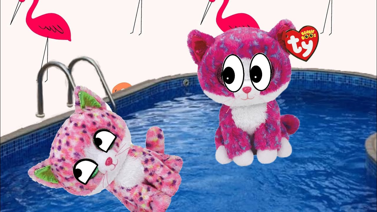 Beanie boo pool day 🌊 - YouTube