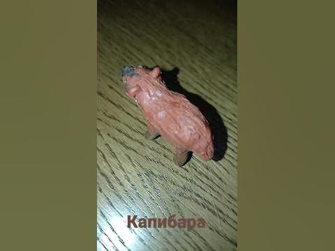 капибара из пластилина #пластилин #капибара - YouTube