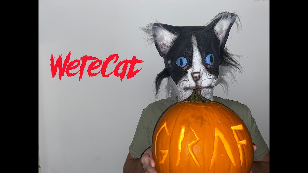 Werecat (Official Music Video) - YouTube