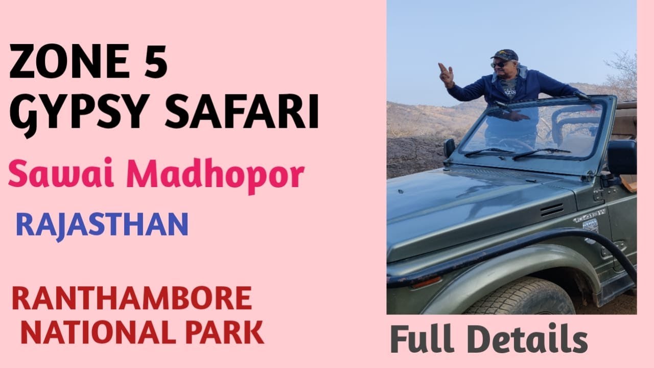 ZONE 5 GYPSY SAFARI AT RANTHAMBORE NATIONAL PARK JAN 2024|RAJASTHAN ...