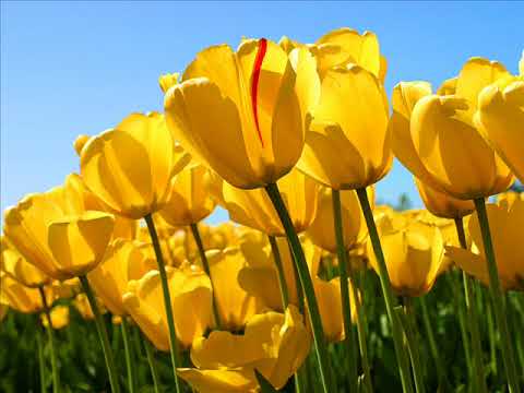 Omarion - Speedin Prod. By Onedah (Remix) - YouTube