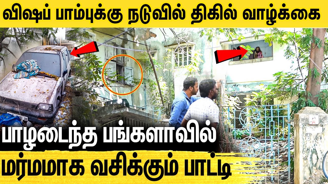 20 வருடமாக வீட்டை விட்டு வெளியே வராத மர்மம் | தனிமையில் வாழும் பாட்டி ... 20 வருடமாக வீட்டை விட்டு வெளியே வராத மர்மம் | தனிமையில் வாழும் பாட்டி ...