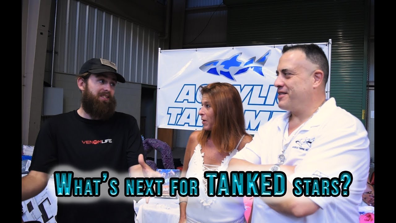 The Future for TANKED Stars - First Interview Since Show - YouTube