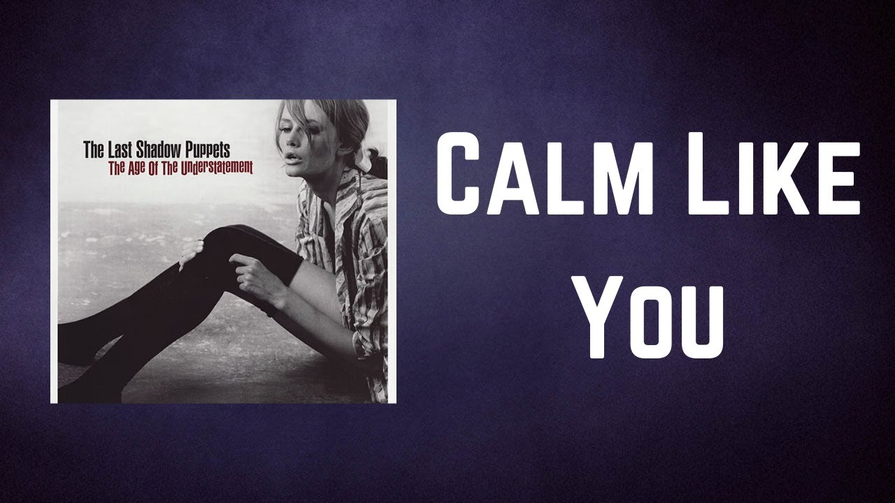The Last Shadow Puppets - Calm Like You (Lyrics) - YouTube