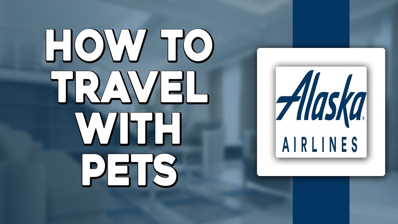 How To Travel With Pets on Alaska Airlines (Easiest Way) - YouTube