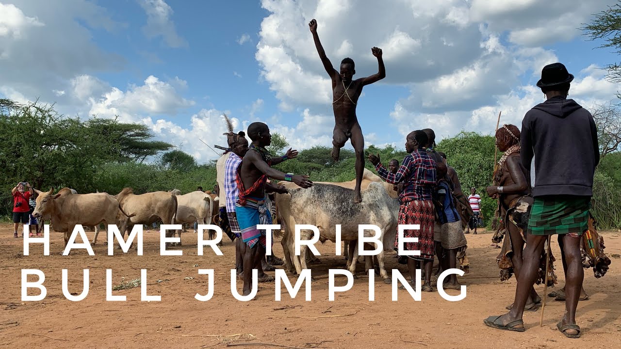 Life in Hamer tribe - YouTube