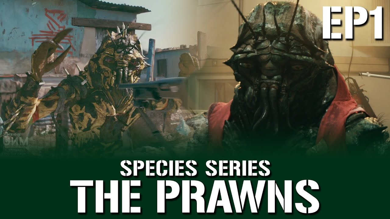 The Prawns (District 9) Ep 1 - Species Series - YouTube