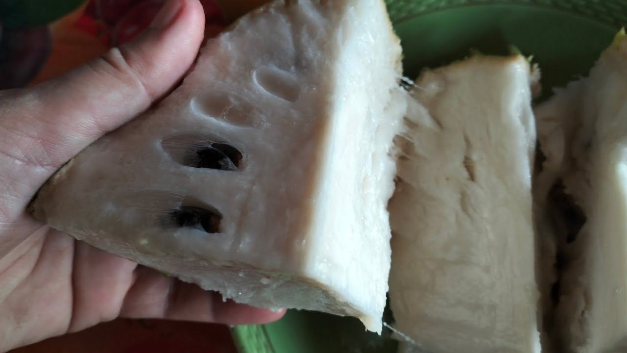 Masukal na Daan para sa Guyabano Picking - YouTube