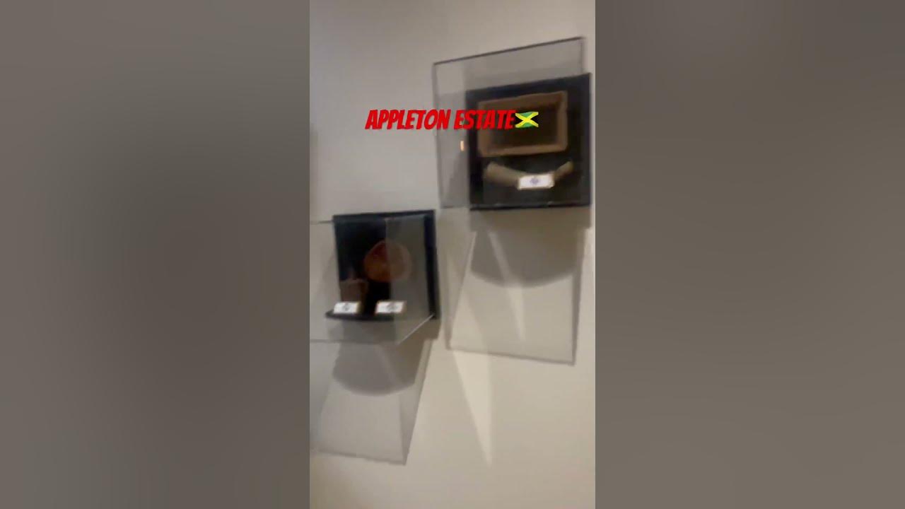 @appletonestatejamaica6302 #bobmarley #motivation #rap #authenticself #duet #spanishcity #stitch ...