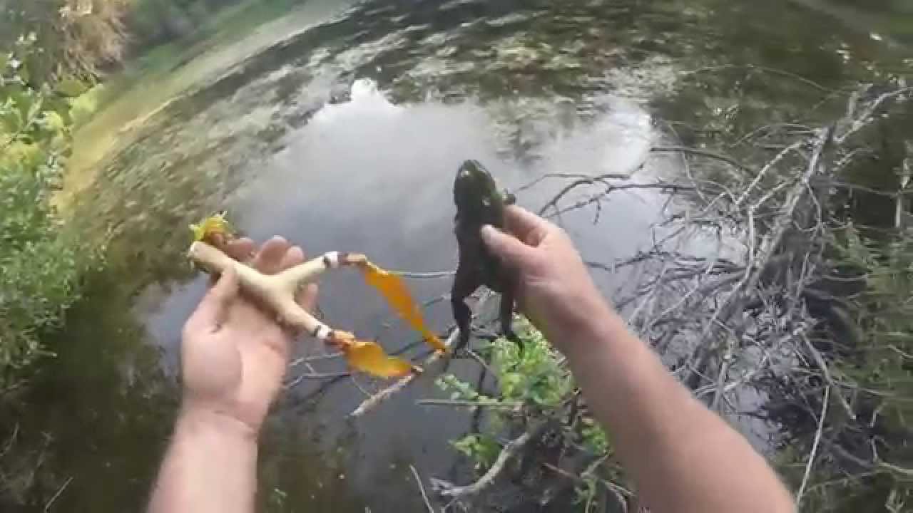 slingshot frog hunt - YouTube