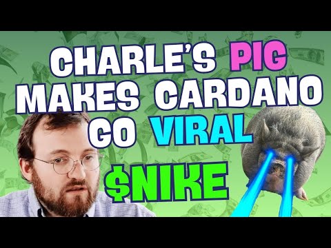 Charles Hoskinson's pig NIKE will onboard MILLIONS to Cardano ...