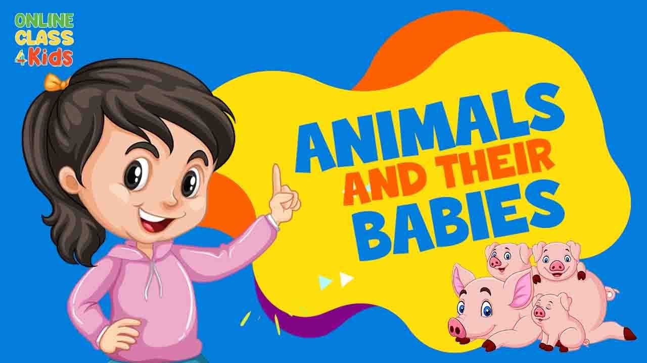 Animals and their Babies | Animals and their Young Ones | Animals Video ...