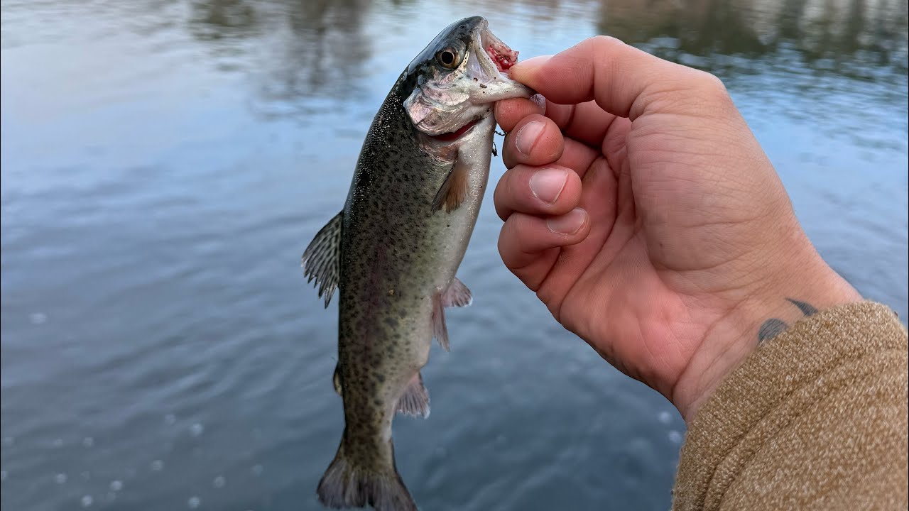 Winton Park Easy Limit (Lower Kings River) - YouTube