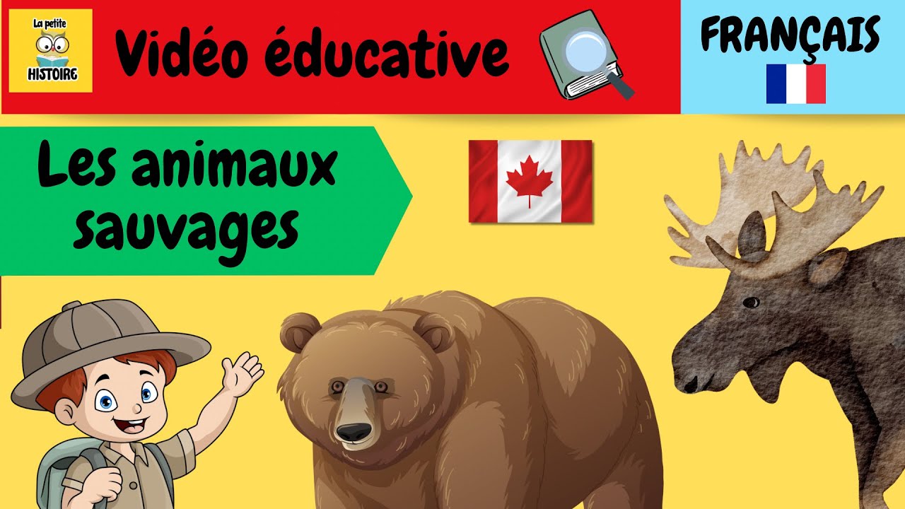 Apprendre les animaux sauvages en français 🇨🇦🐻 | Histoire français | La ...